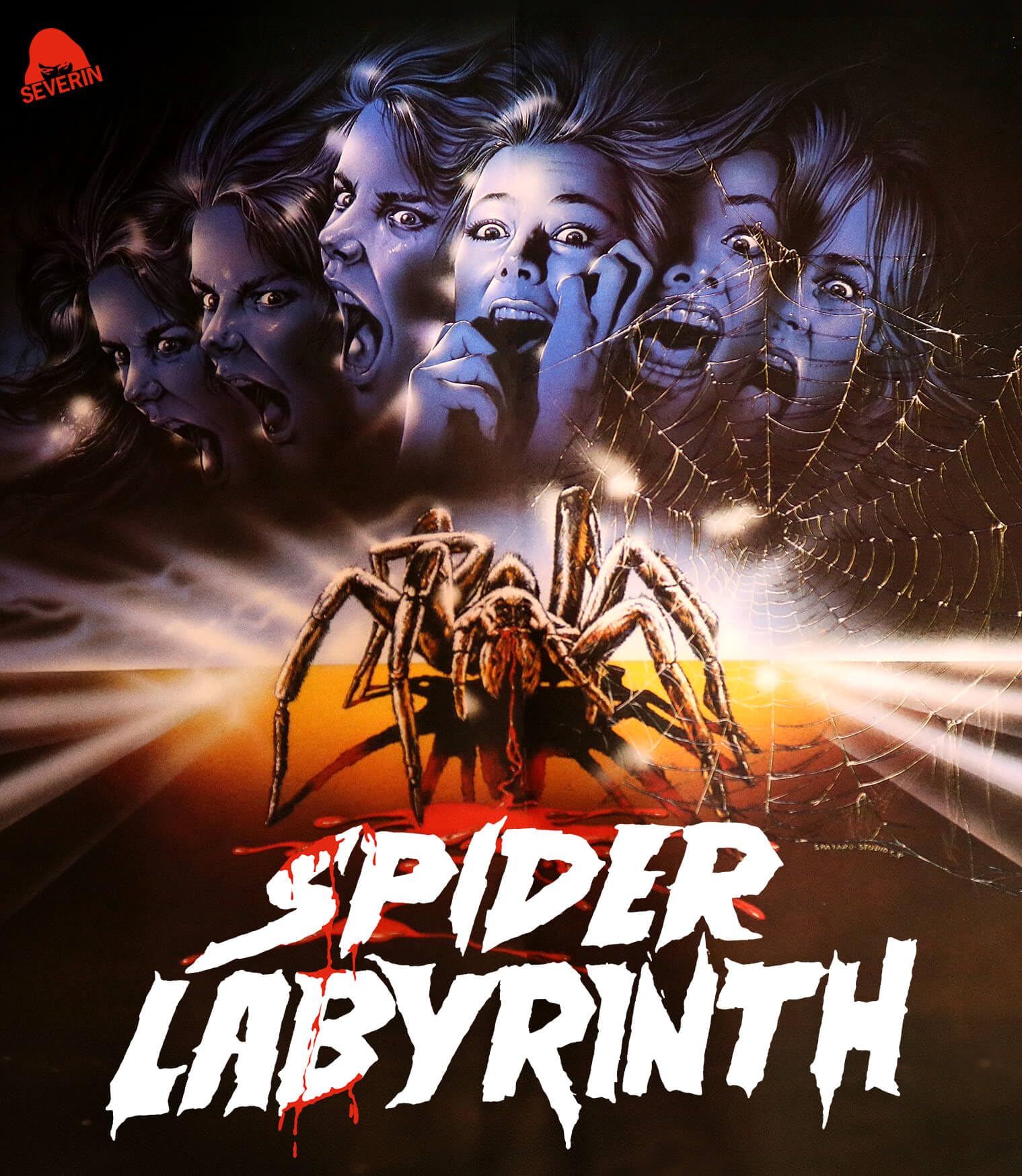 Amazon.com: Spider Labyrinth [Blu-ray] : Gianfranco Giagni, Roland ...