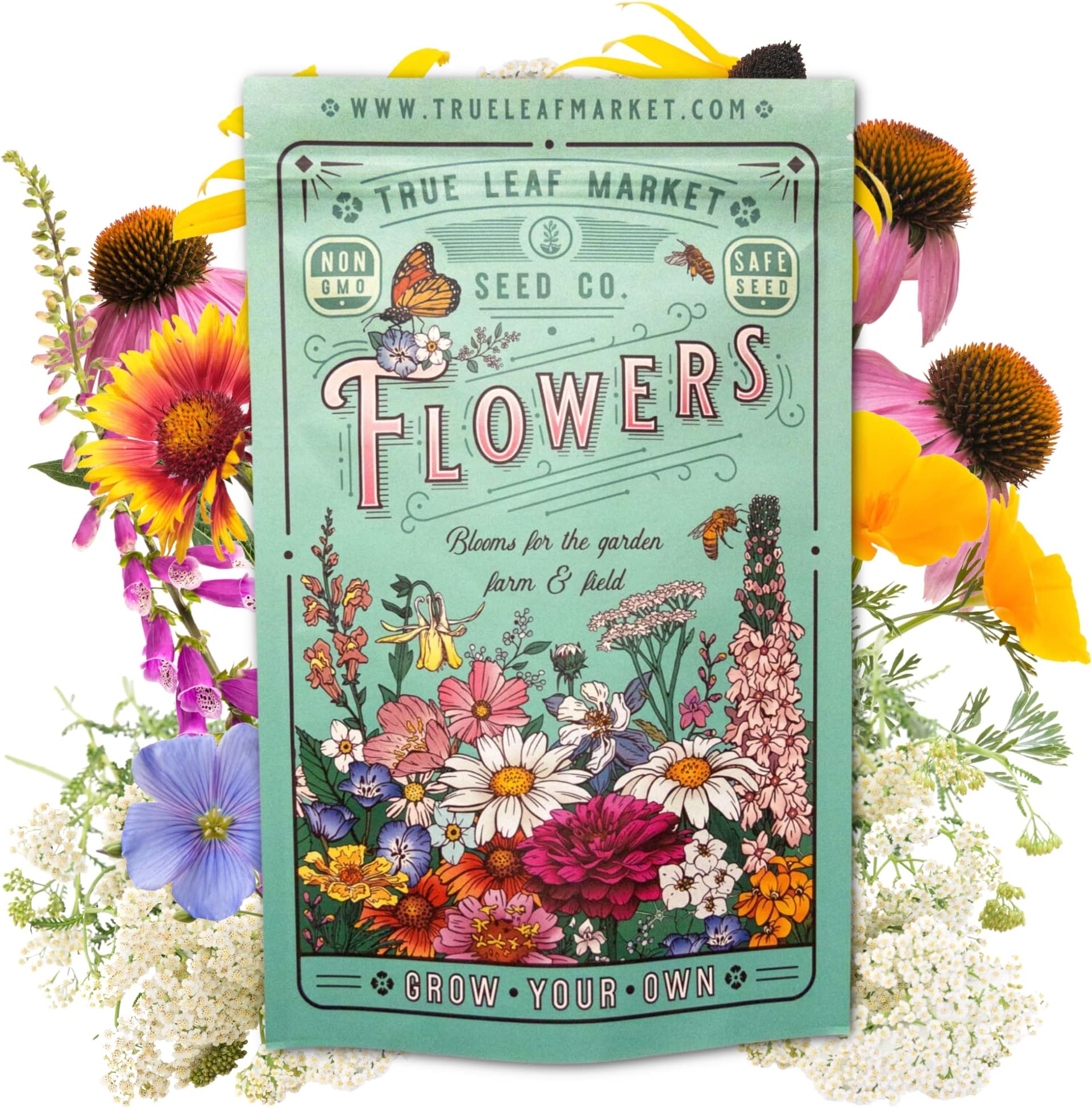 Amazon.com : Wild Flower Seeds Perennial Mix - 1 Lb ~640,000 Seeds ...