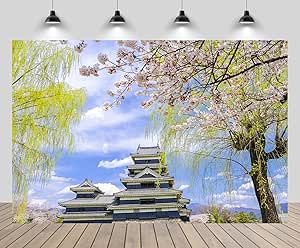 Amazon.com : CHNYWORK 10ftx8ft Japanese Backdrop Matsumoto Castle ...