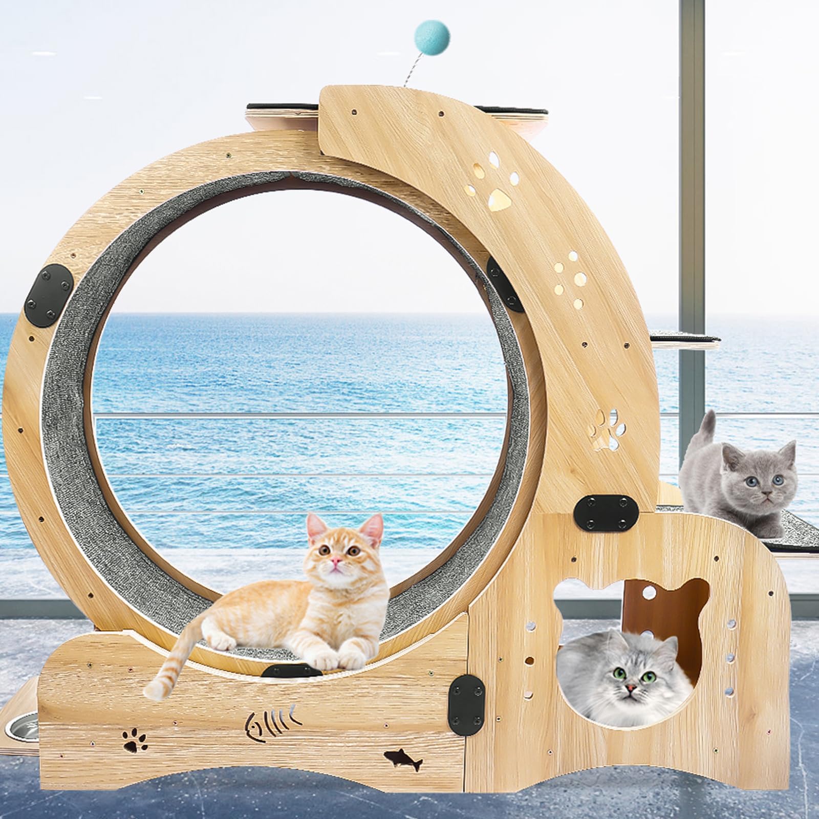 Amazon.com : Cat Sports Running Wheel, 4-in-1 Cat Exercise Wheel, Cats ...