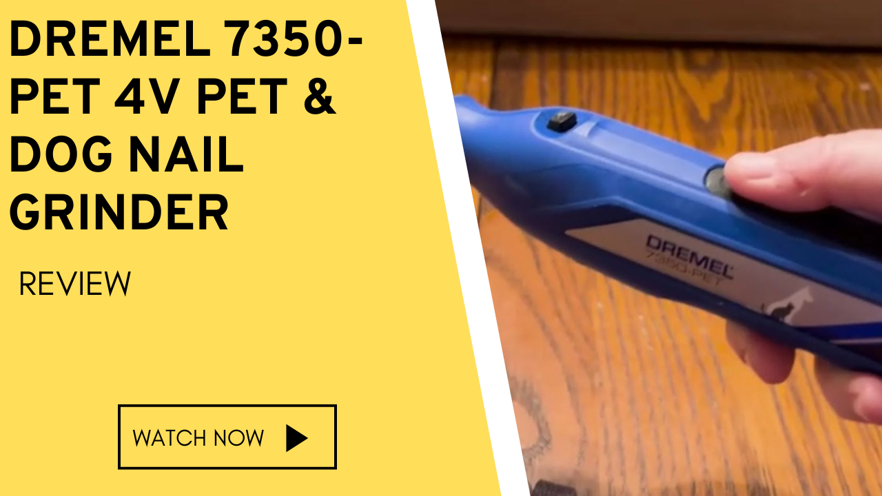 Watch Review of Dremel 7350-PET 4V Pet & Dog Nail Grinder on Amazon Live