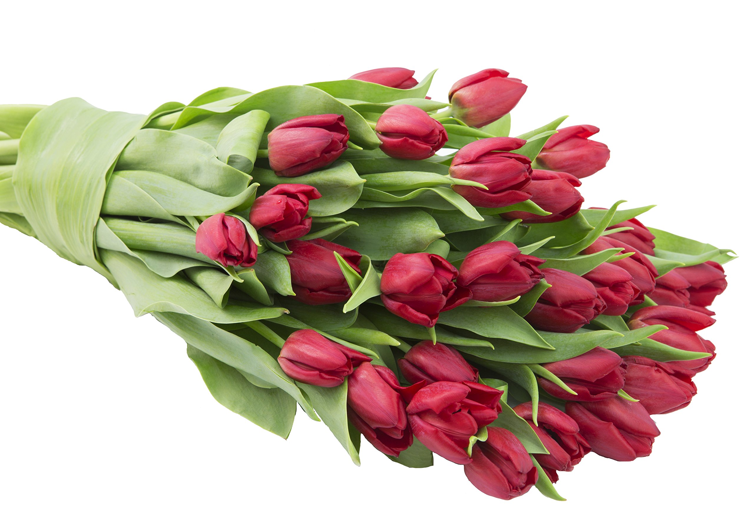 Order Red Tulips