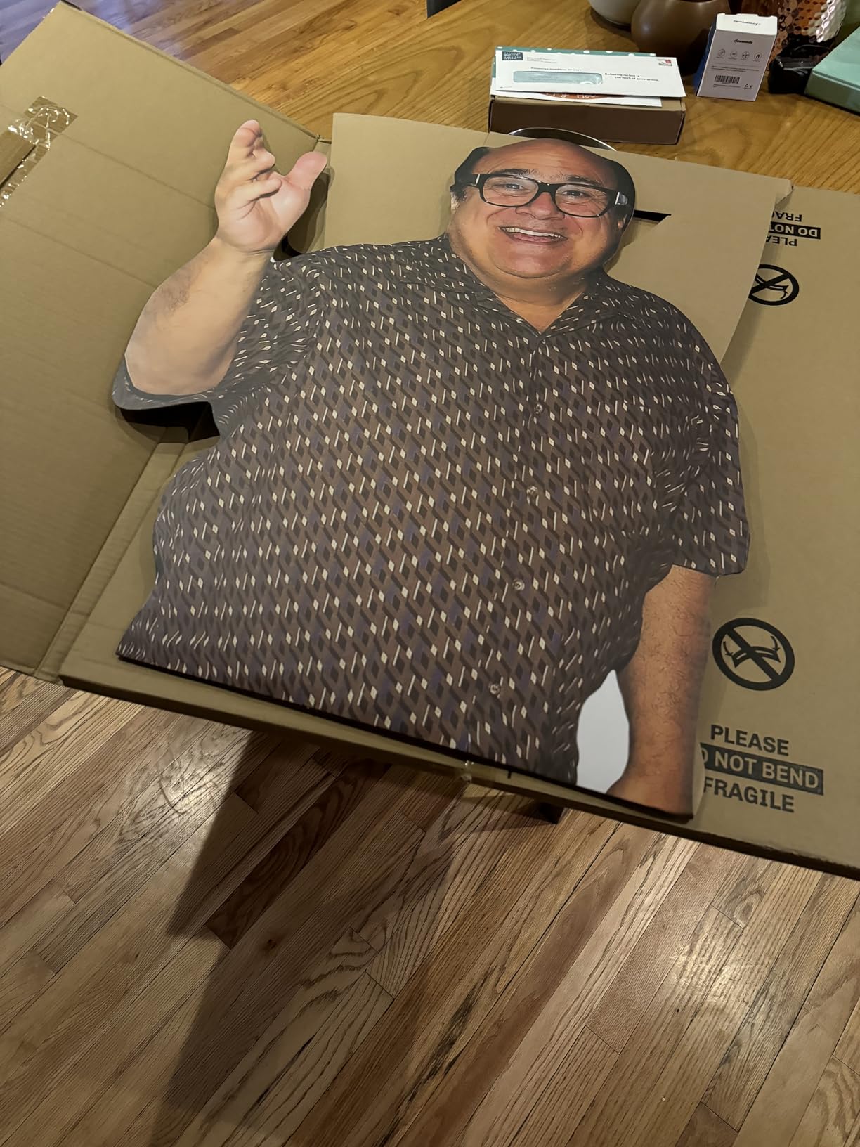 $13/mo - Finance Novelty Native Danny DeVito Cardboard Cutout Life Size ...