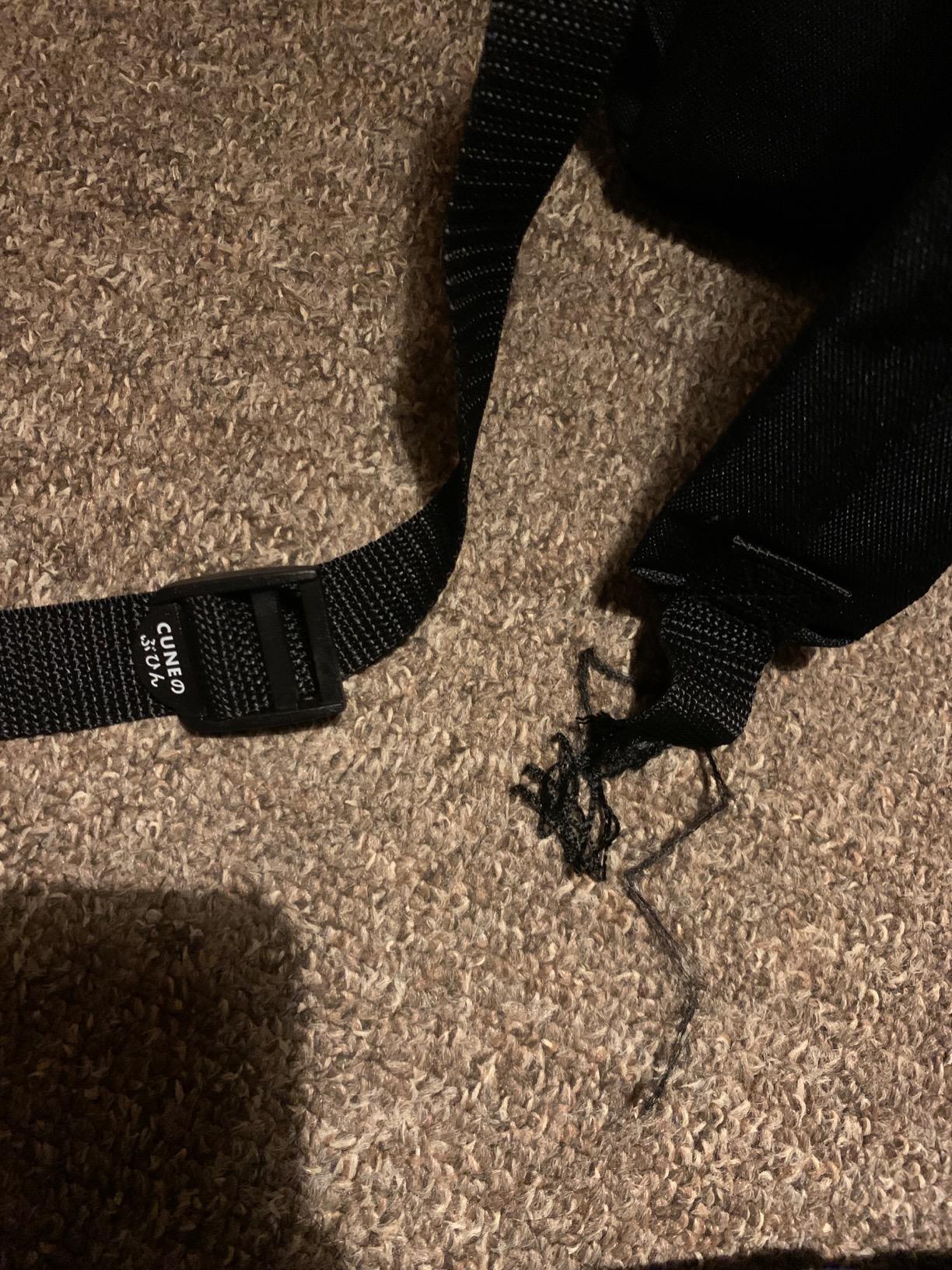 CUNE® BACKPACK BOOK (ブランドブック) |本 | 通販 | Amazon