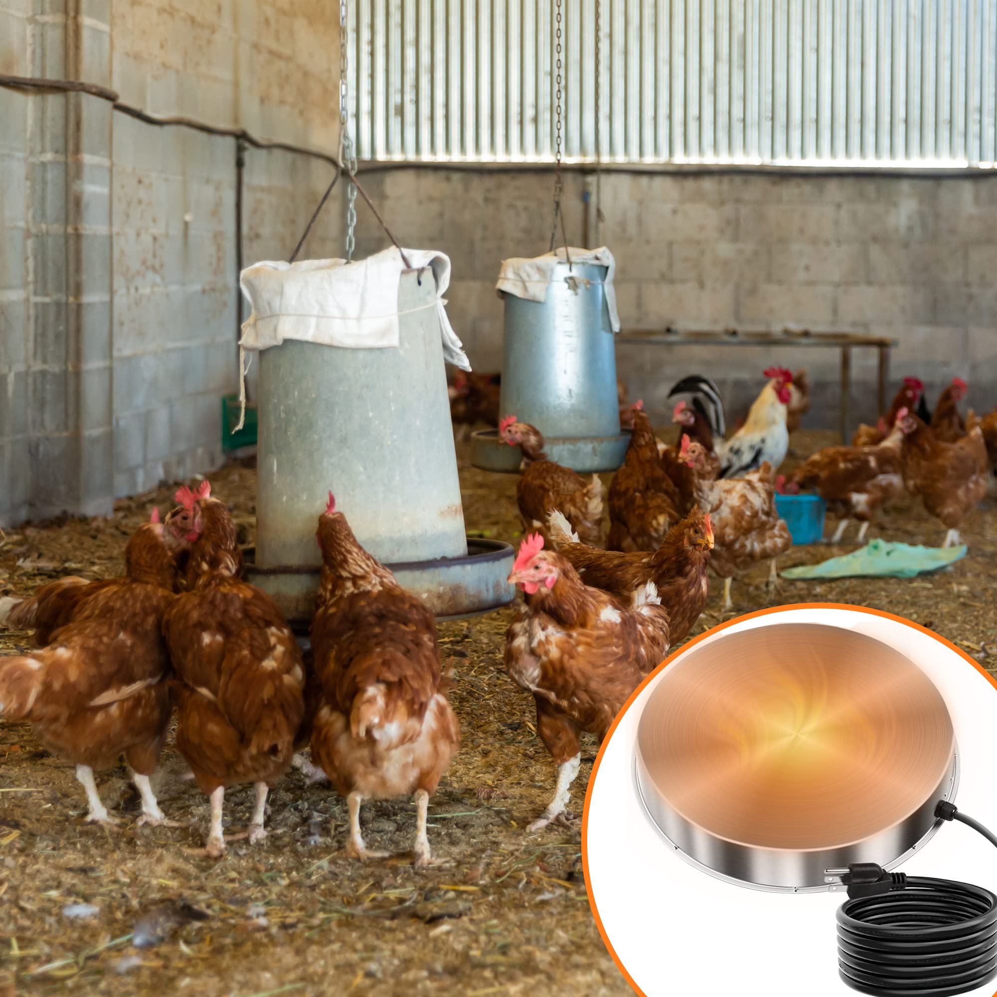 Snapklik.com : Poultry Chicken Water Heater Warmer Base, Heated Chicken ...