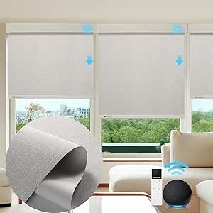 Amazon.com: ZSTARR Motorized Smart Blind for Window,Automatic Blackout Roller Shade Compatible ...