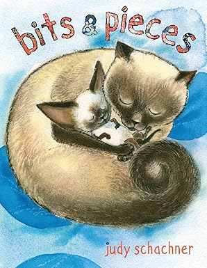bits & pieces: Schachner, Judy: 9781948959872: Amazon.com: Books