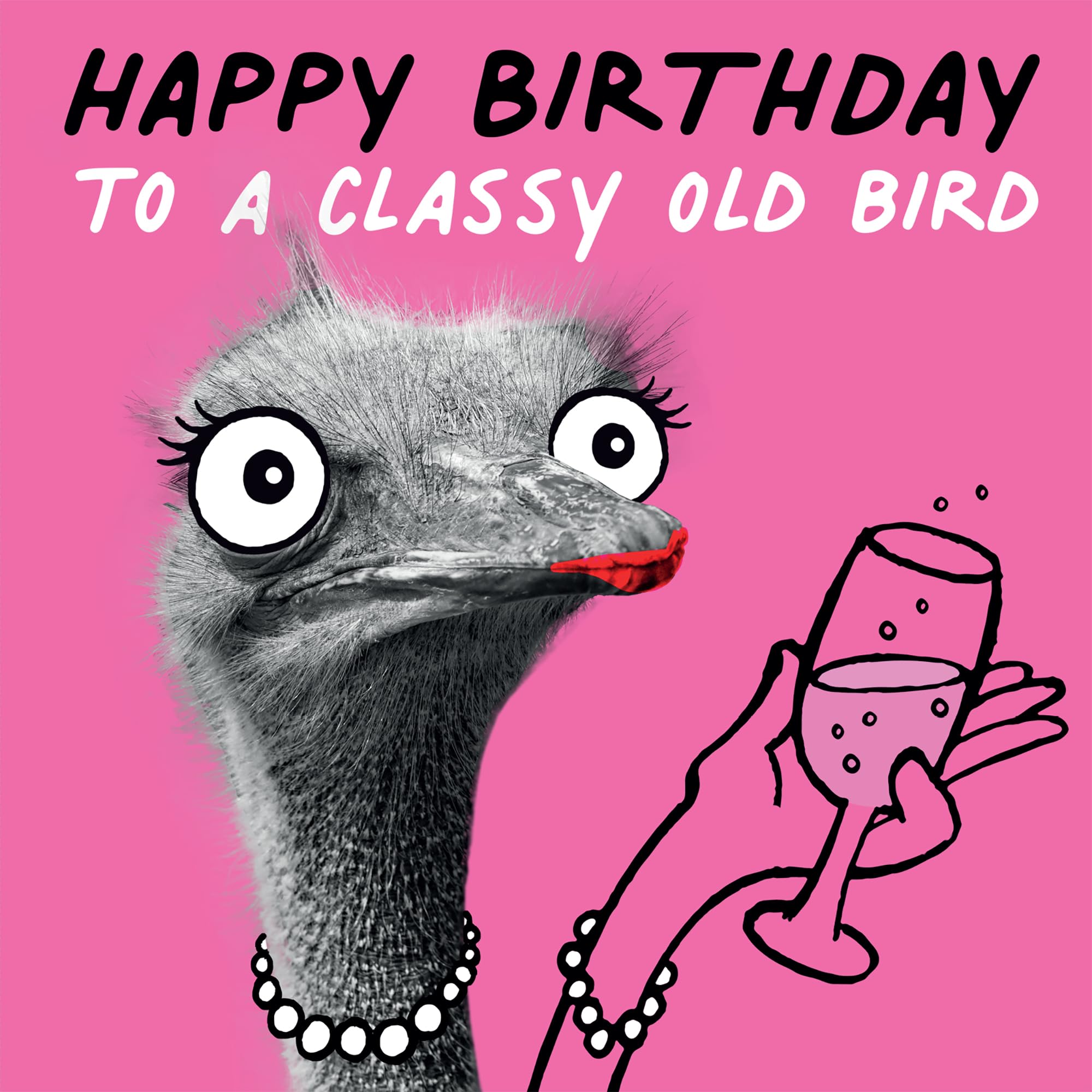 Funny Birthday Cards for Her - 'Happy Birthday To A Classy Old Bird ...