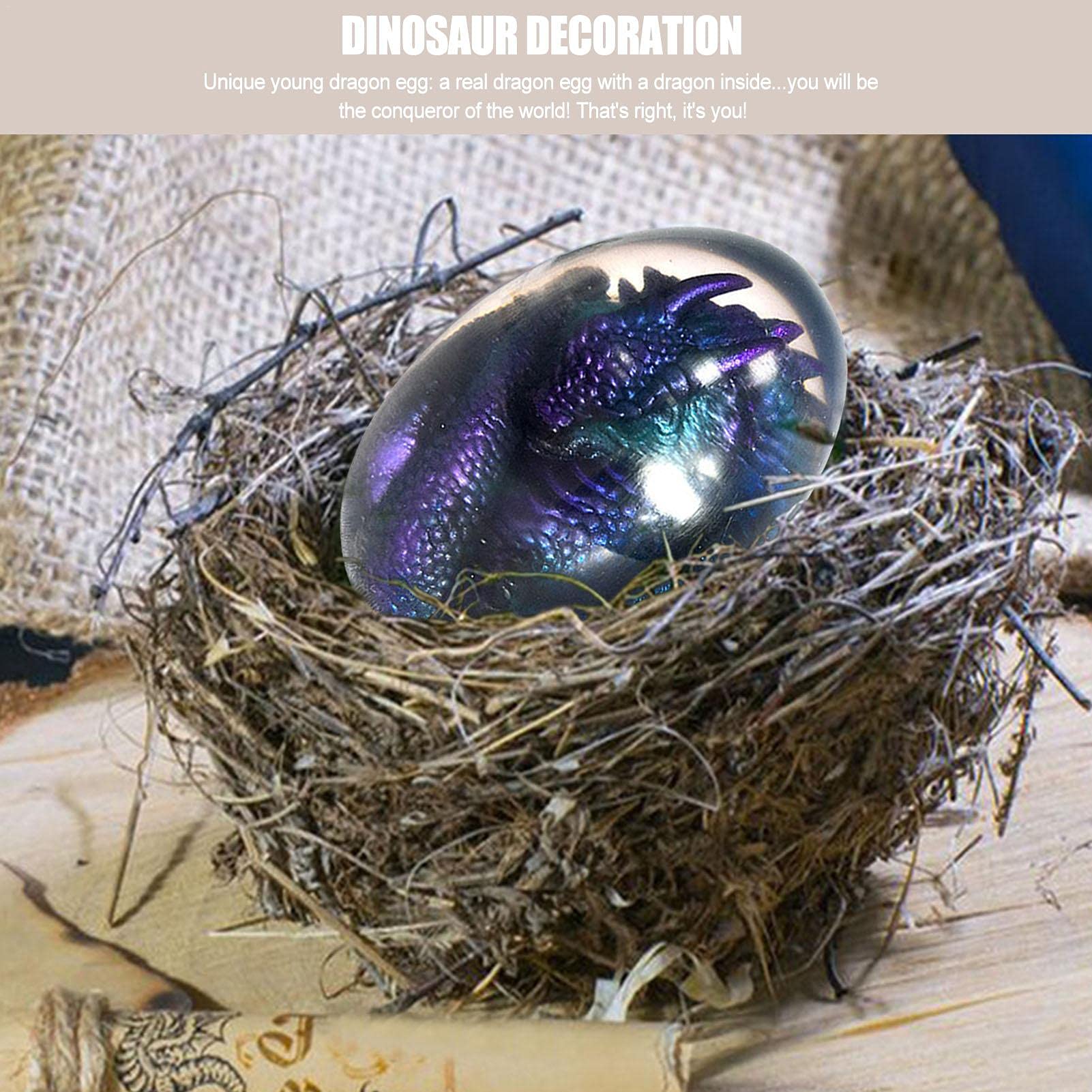 Pictures Of Real Dragon Eggs