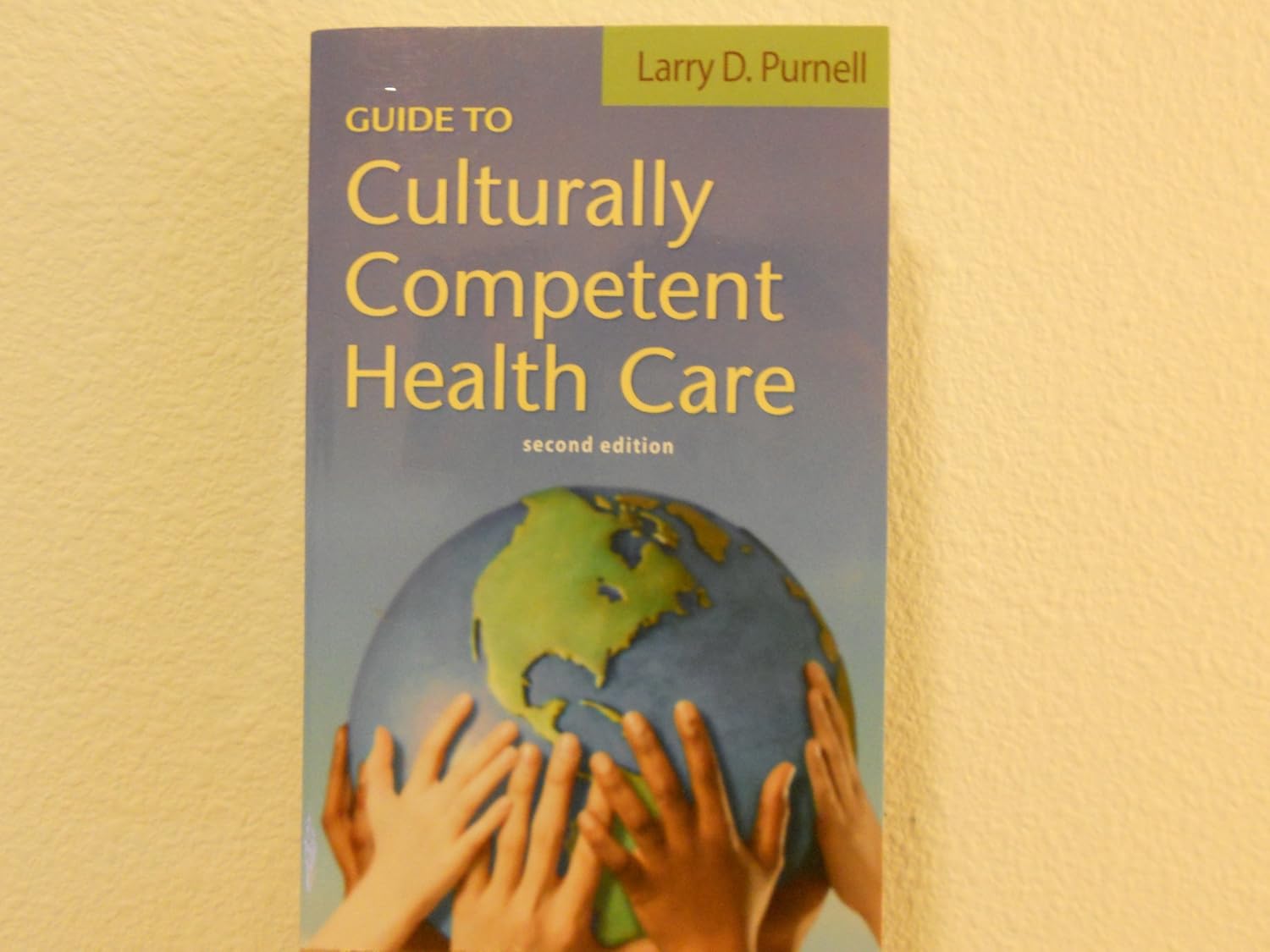 Guide to Culturally Competent Health Care: Purnell PhD RN F, Larry D ...