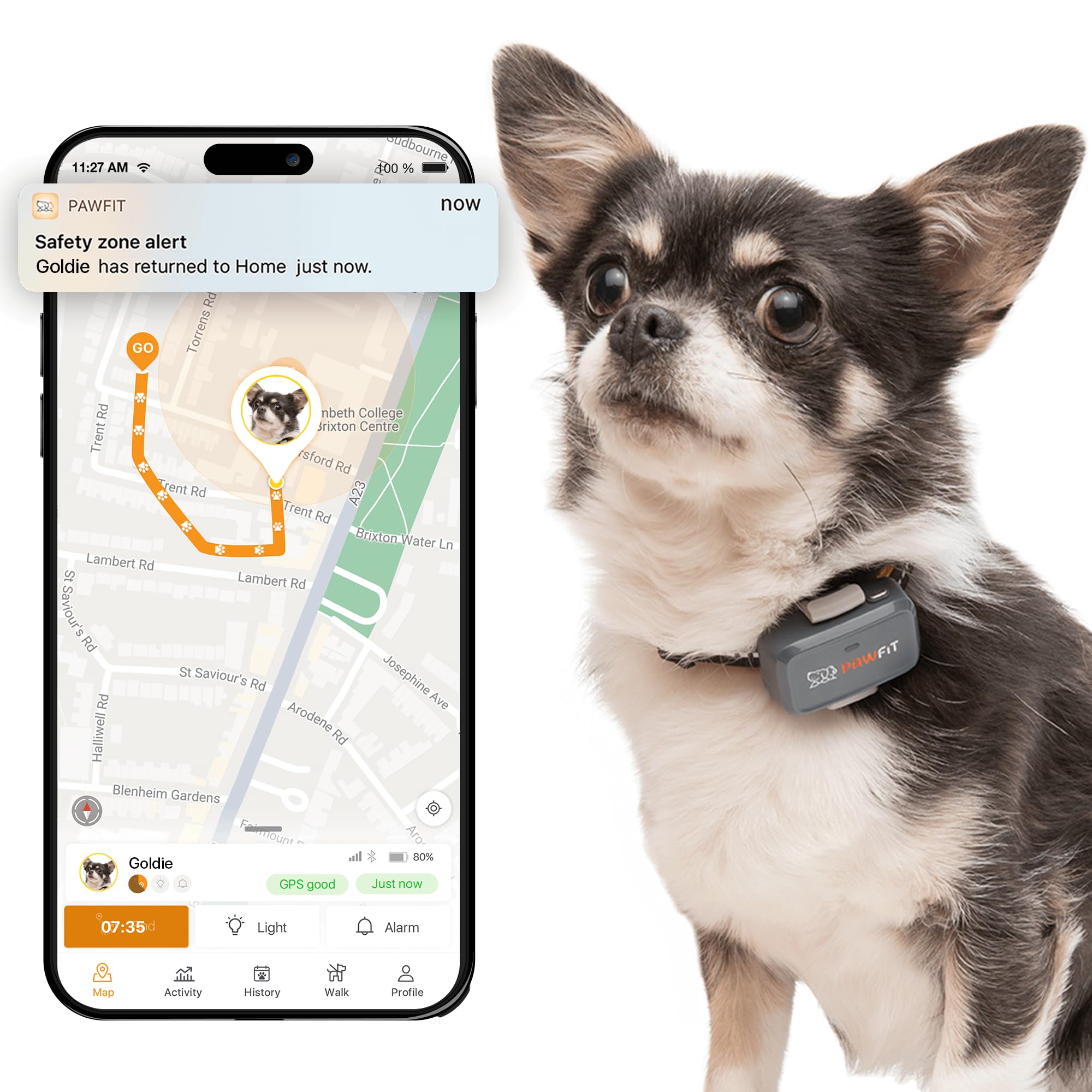 Dog Bone Tracker