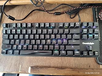 Amazon.in: Buy Cosmic Byte CB-GK-18 Firefly Per-Key RGB TKL Mechanical ...