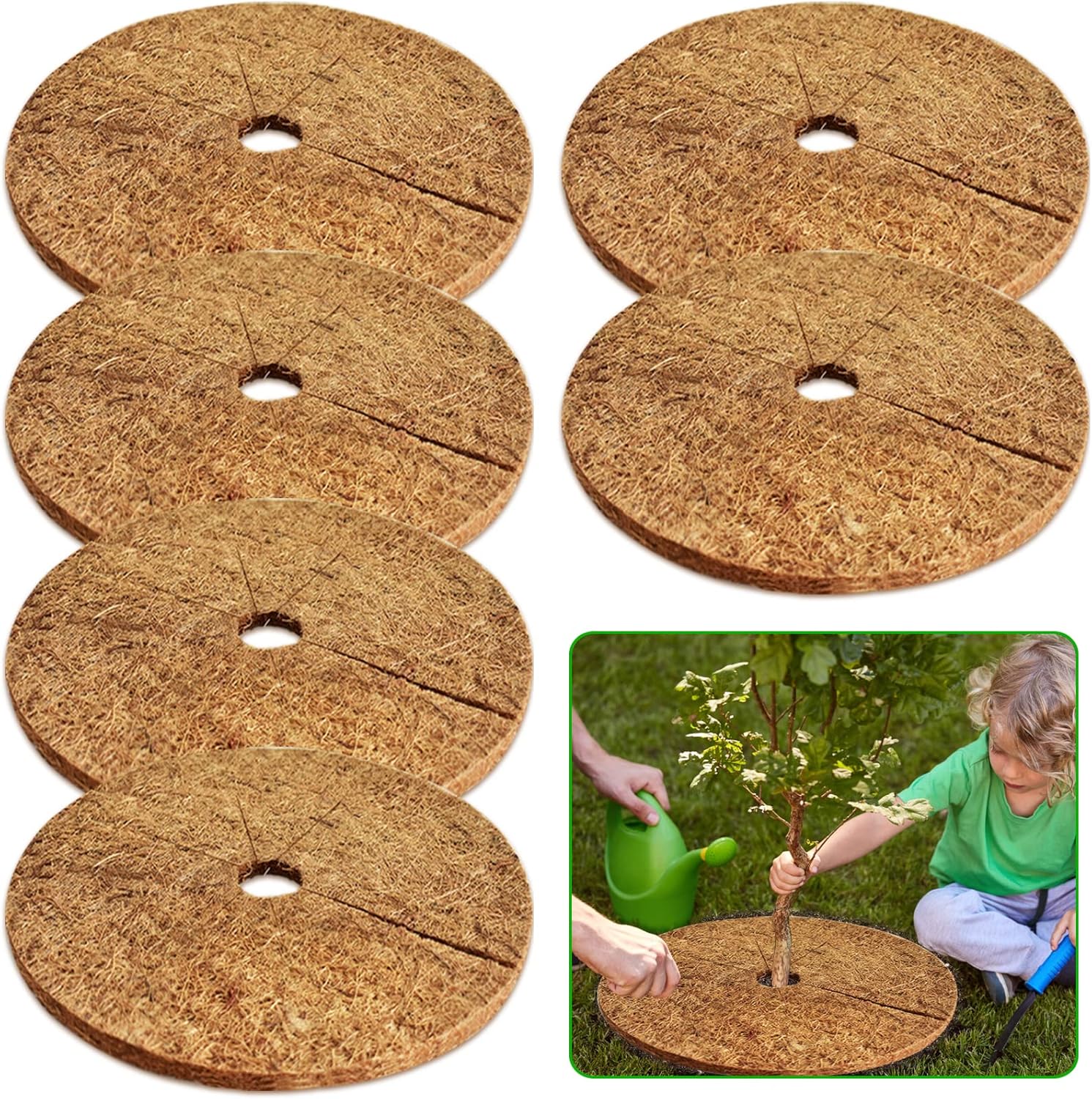 Amazon.com : ZeeDix 6 Pcs Coconut Fibers Mulch Ring Tree Protector Mat ...