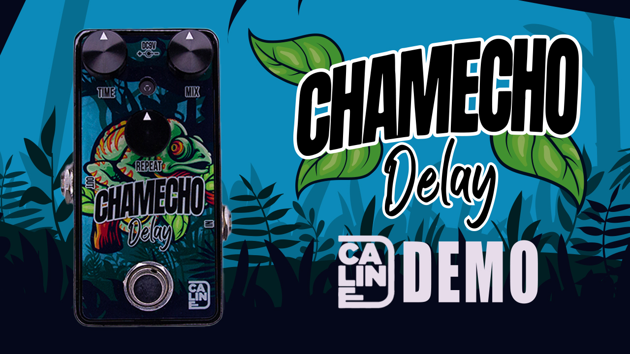 Ryan Lutton's Amazon Page