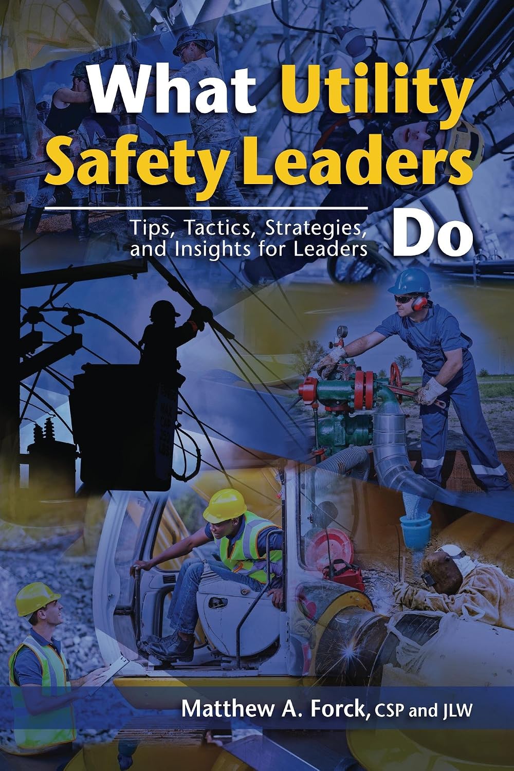 Amazon.com: What Utility Safety Leaders Do: Tips, Tactics, Strategies ...