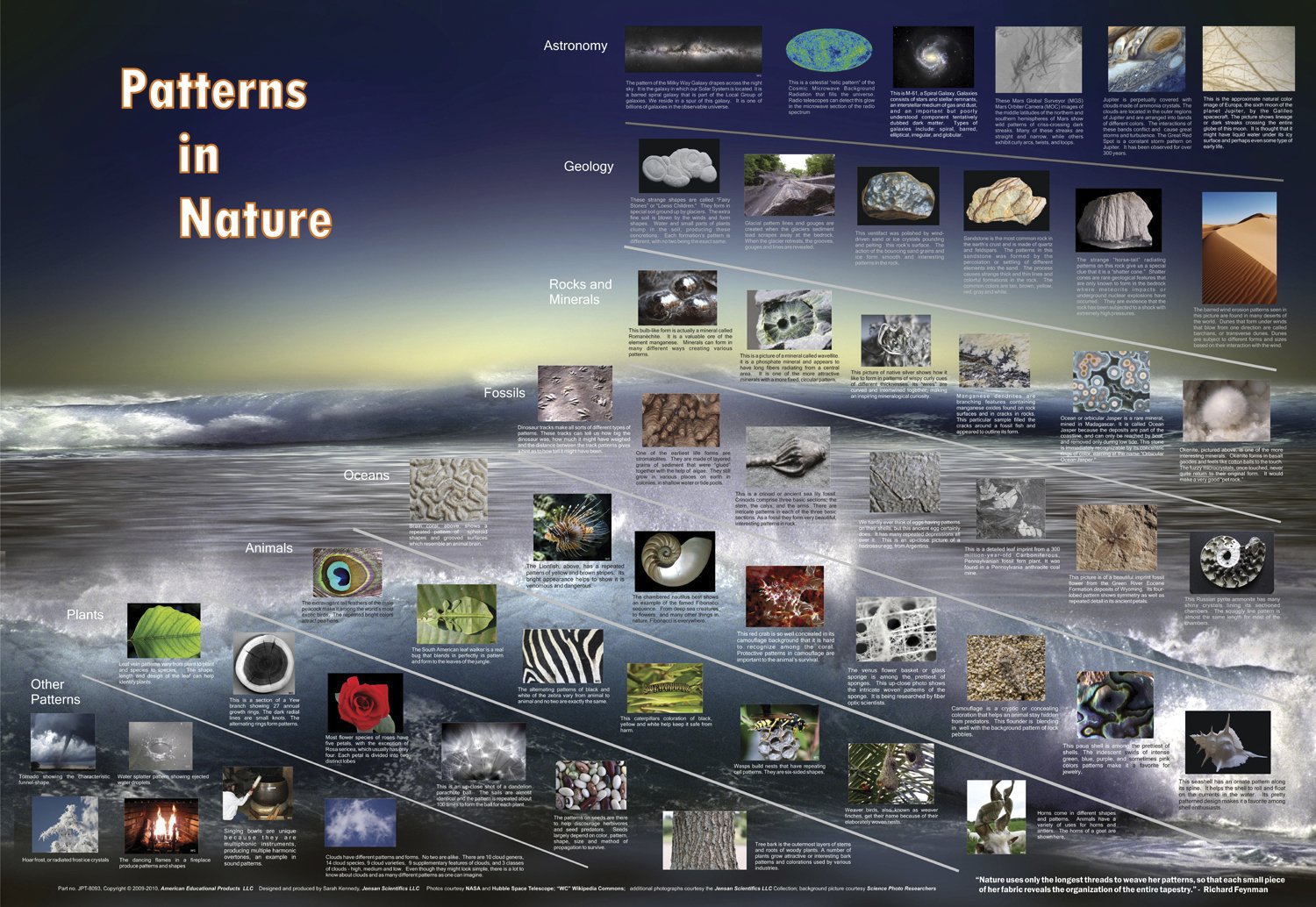 Amazon.com: American Educational Patterns in Nature Math Science Art ...