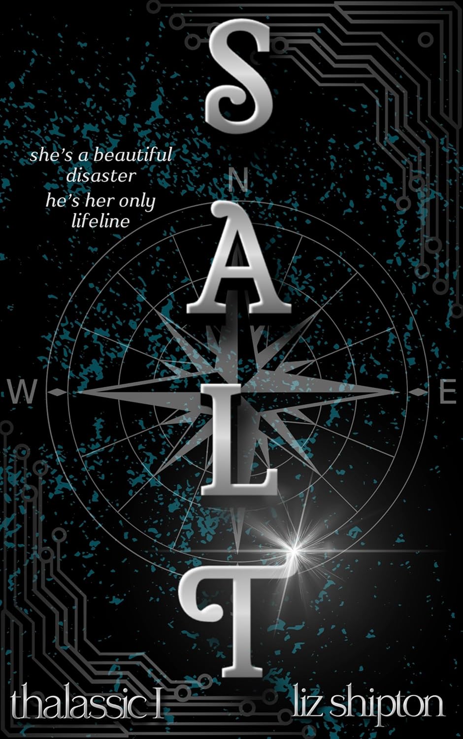 Salt (Thalassic Series Book 1) eBook : Shipton, Liz: Amazon.ca: Kindle ...