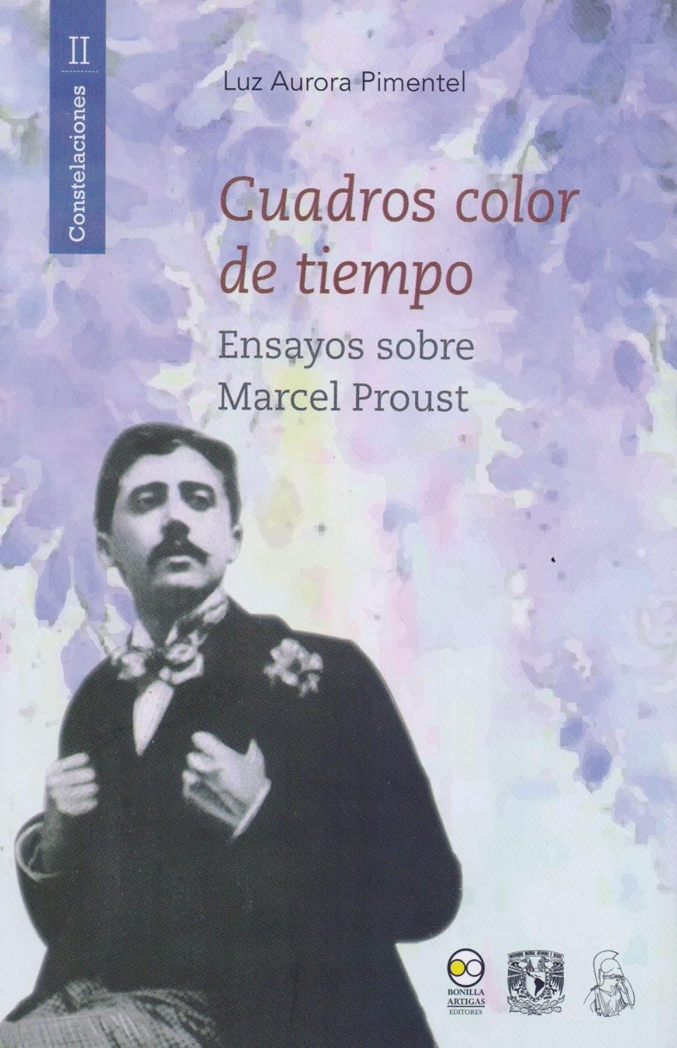 CUADROS COLOR DE TIEMPO : PIMENTEL LUZ AURORA: Amazon.in: Home & Kitchen