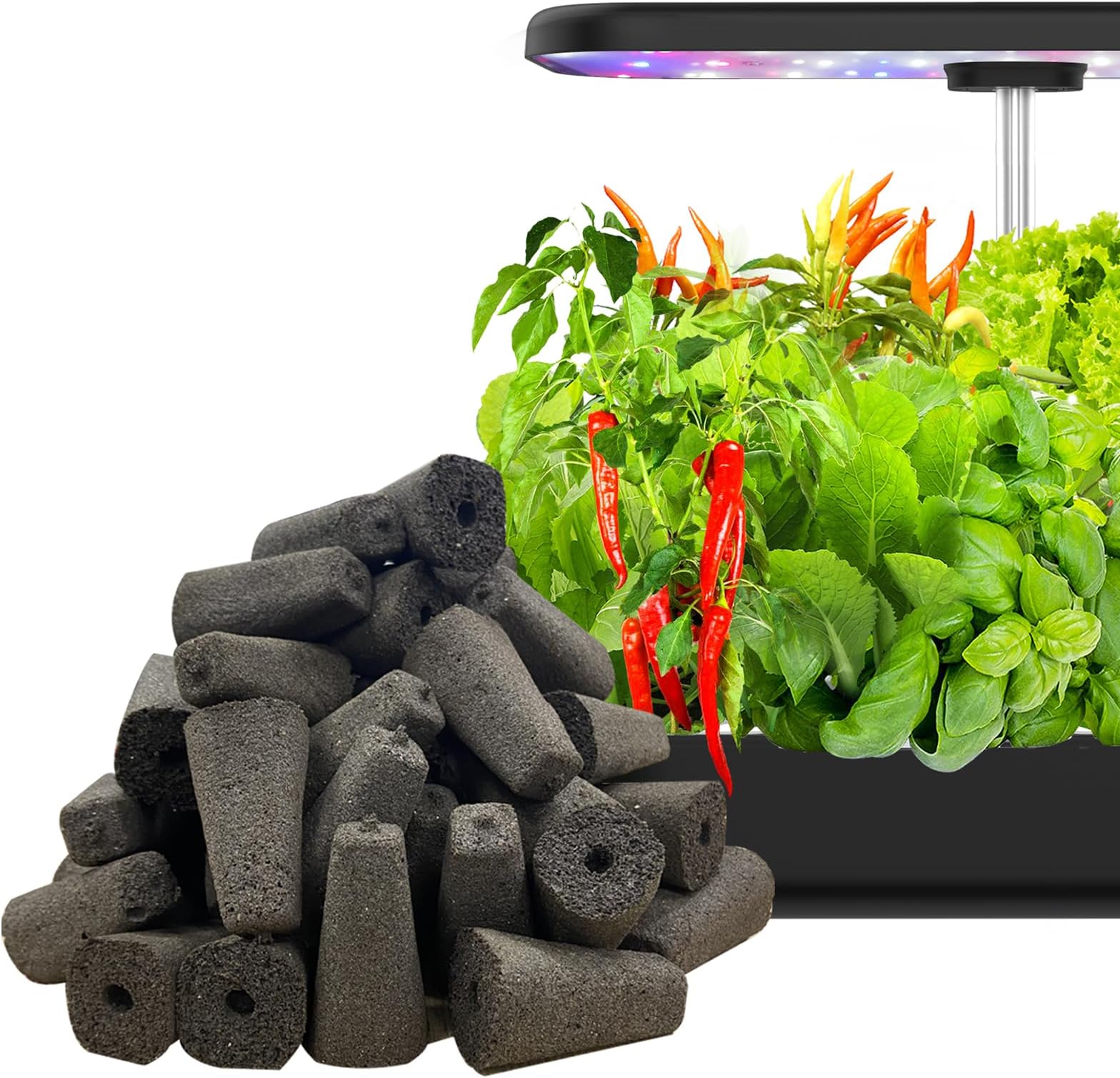 Amazon.com : LAPOND 100 Pack Grow Sponges, Replacement Root Growth ...