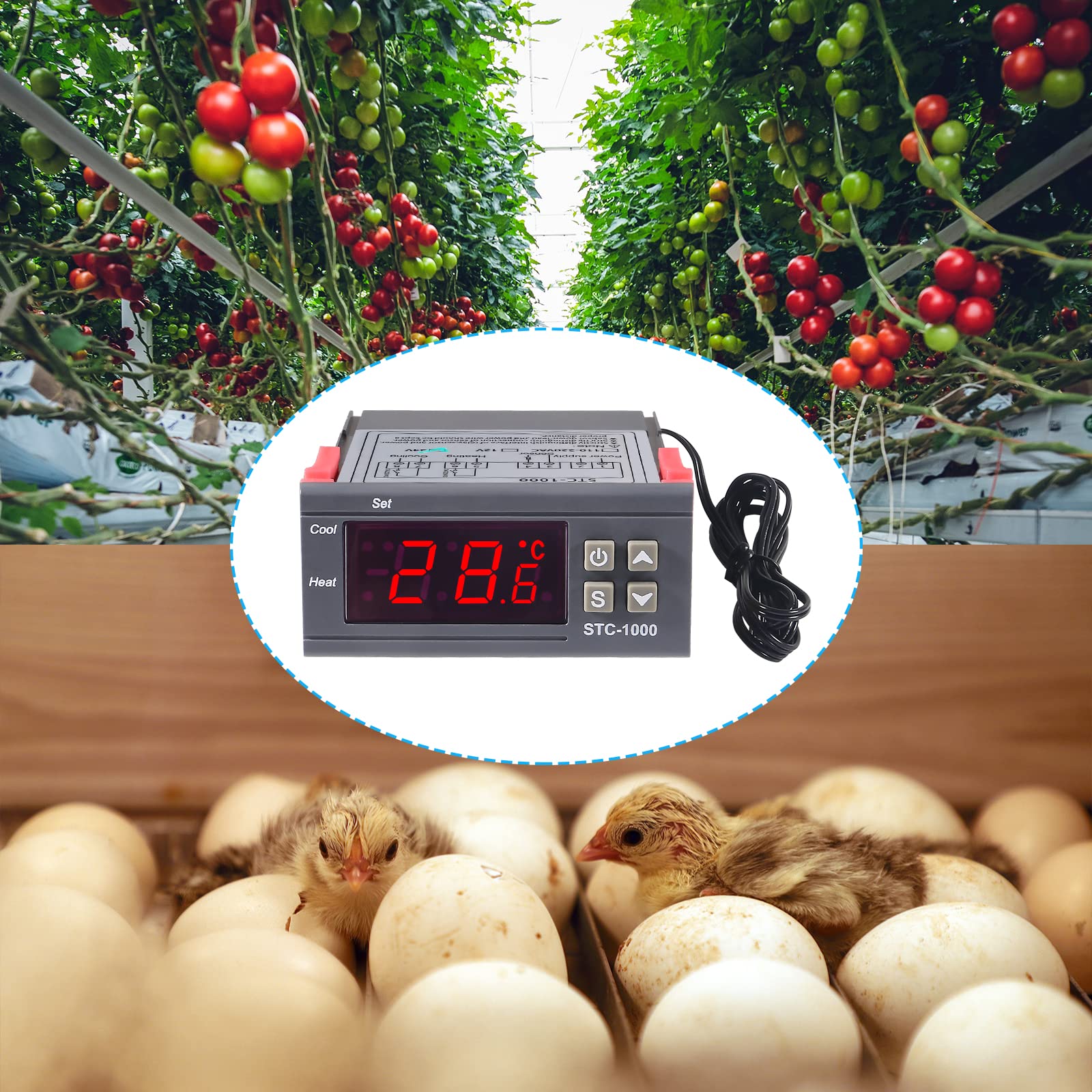 Snapklik.com : 2pcs STC-1000 DC 24V 10A Digital LED Temperature ...