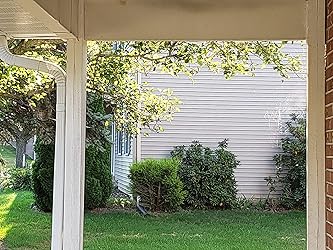 Amazon.com: TERRO T2360 Ready-to-Use Spider Cobweb Eliminator and ...