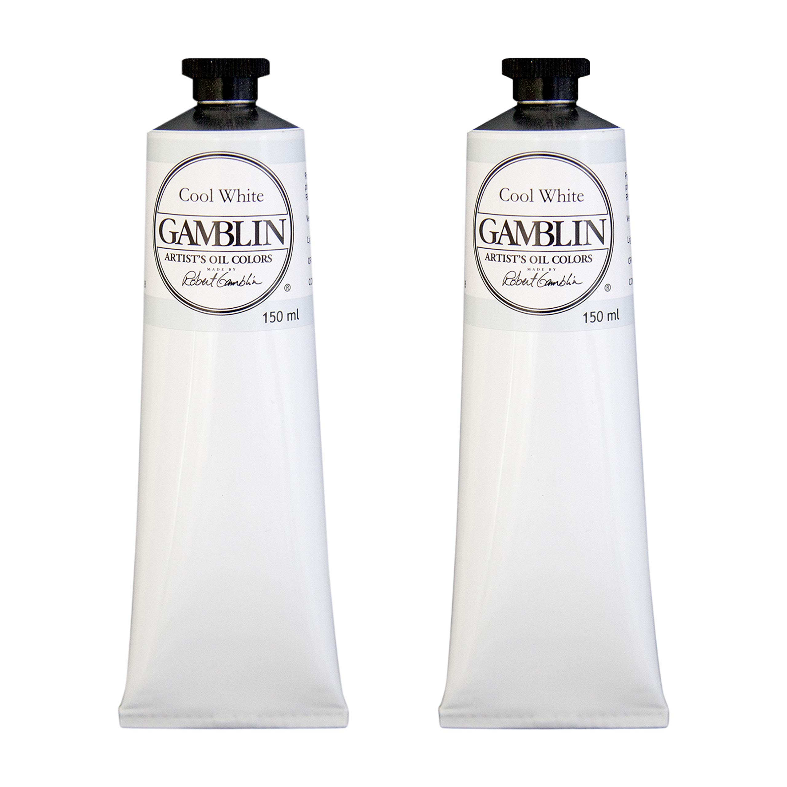Amazon.com: Gamblin Artist Oil Paint Set for Professionals - Cool White ...