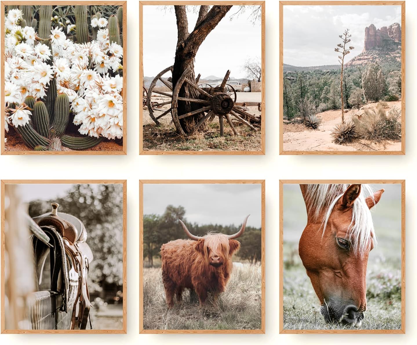 Amazon.com: Nature Western Highland Cow Wall Art Prints Set of 6 ...