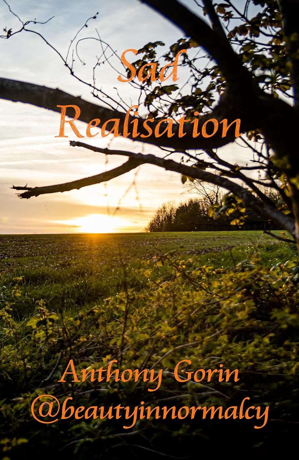 Sad Realisation: Sad lessons of life, learnt with reluctance eBook ...