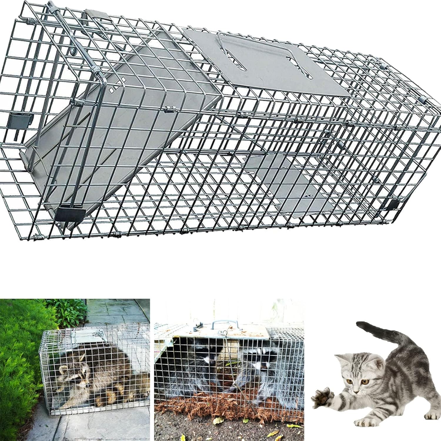 Collapsible Humane Animal Rodent Rat Pest Trap Cage Large for Home ...