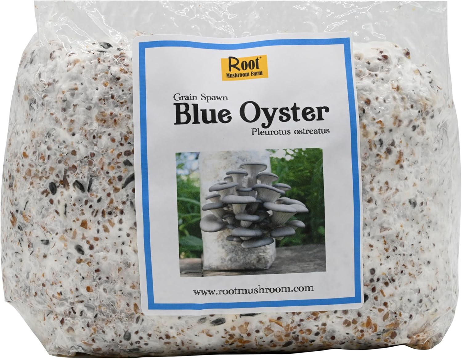 Amazon.com: Root Mushroom Farm-Blue Oyster Grain Spawn(NOT A GROW KIT ...