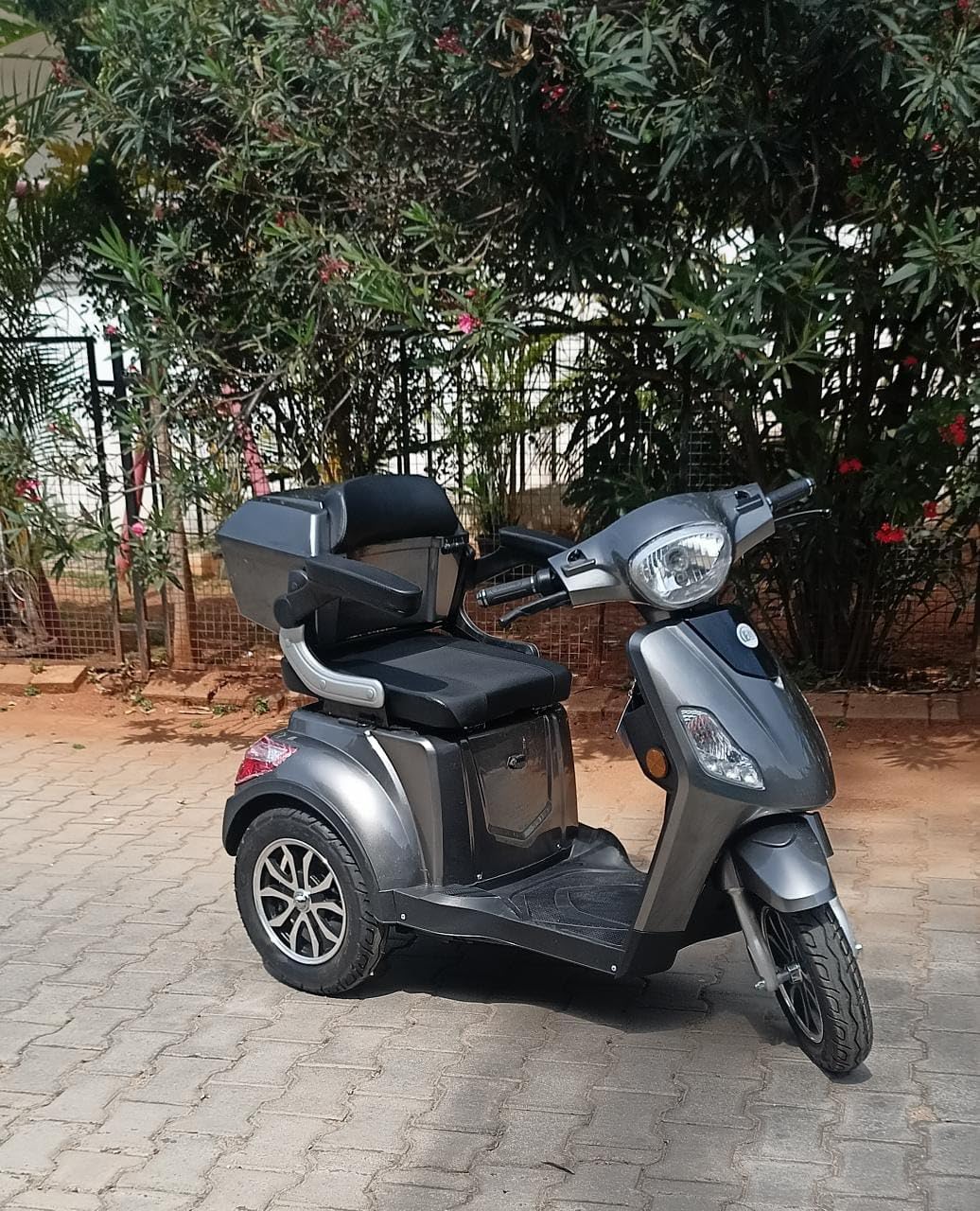 Easy Move mobility scooter Electric Three Wheeler : Amazon.in: Health ...