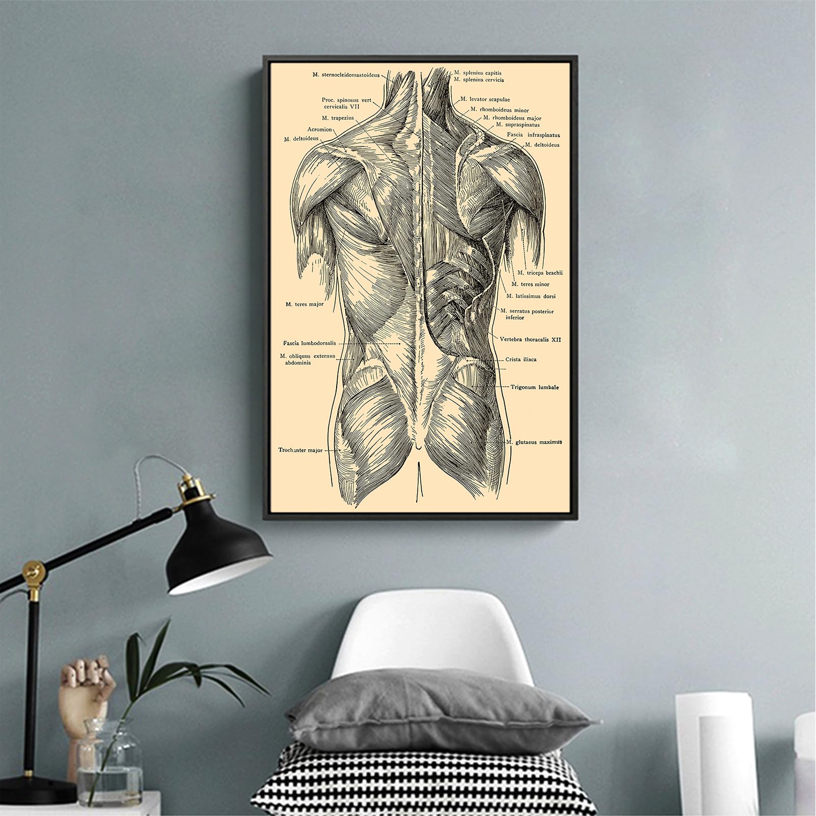 Art Therapy 1947 & 80s Peter Bachin Anatomical Chart Co Muscular System ...