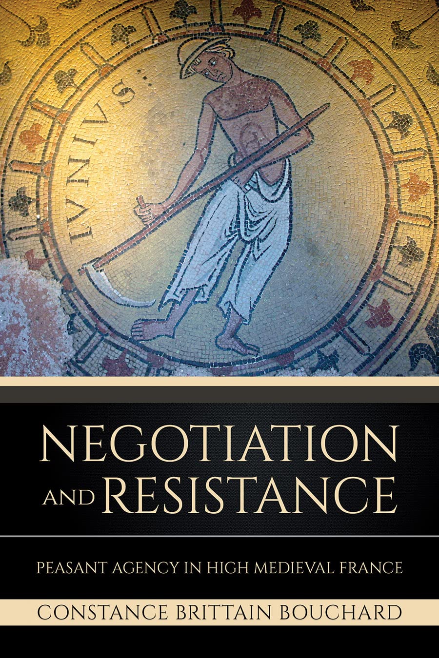 Negotiation and Resistance: Peasant Agency in High Medieval France ...