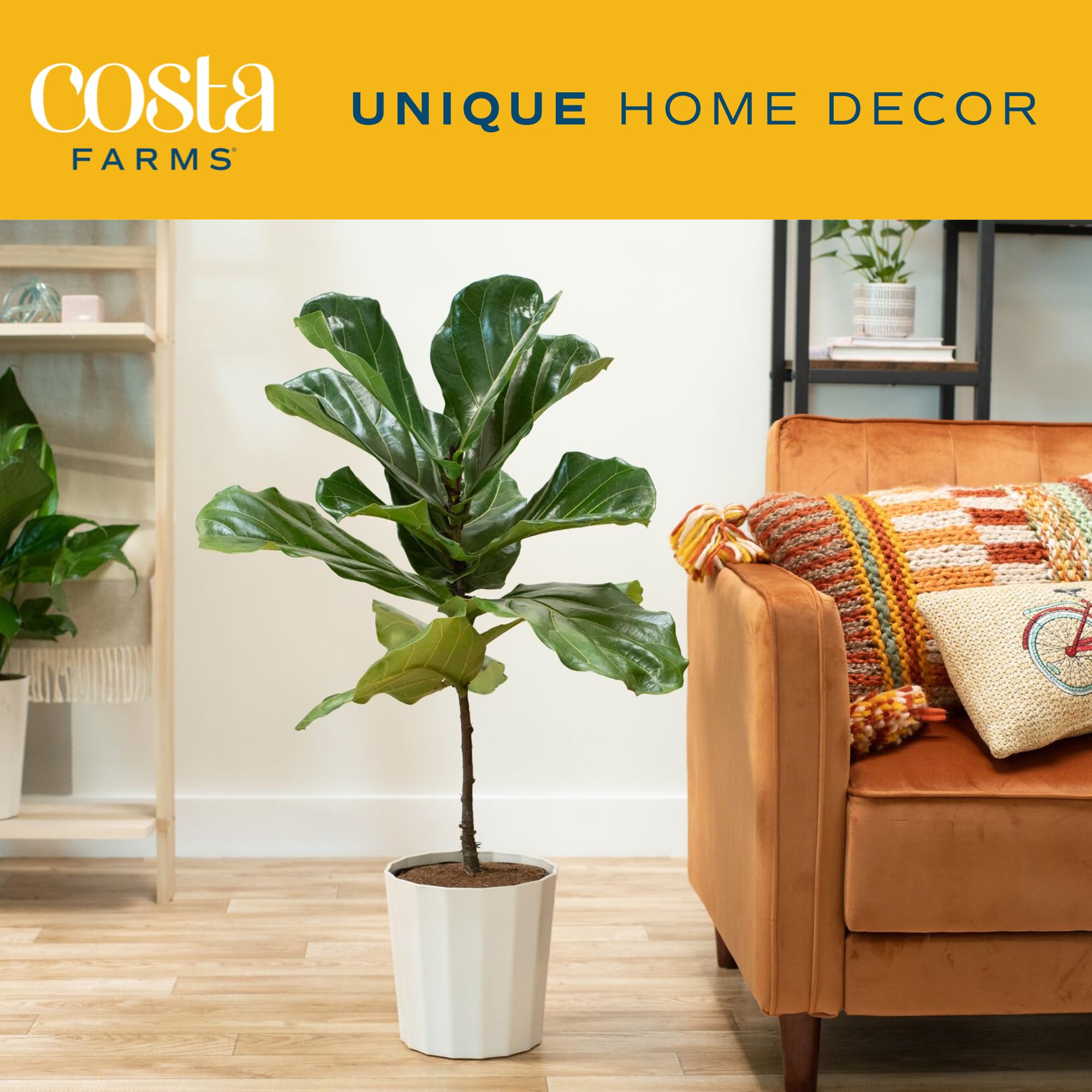Unique Home Decor