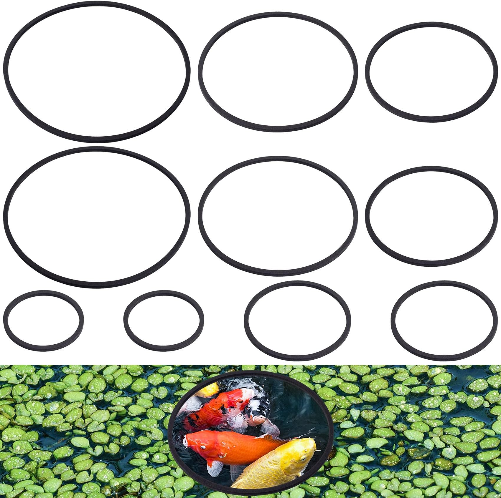 Amazon.com : AEDOVE 10 Pcs Fish Feeding Ring Round Floating Feeding ...