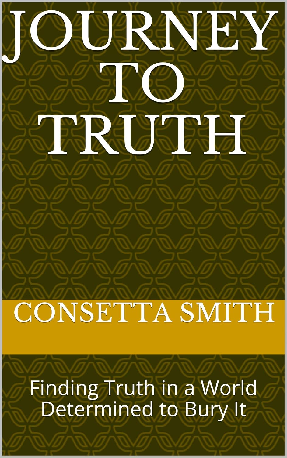 Amazon.com: Journey to Truth: Finding Truth in a World Determined to ...