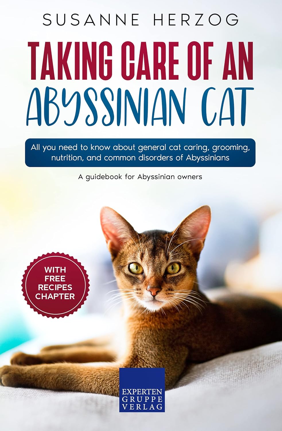 Taking care of an Abyssinian Cat: All you need to know about general ...