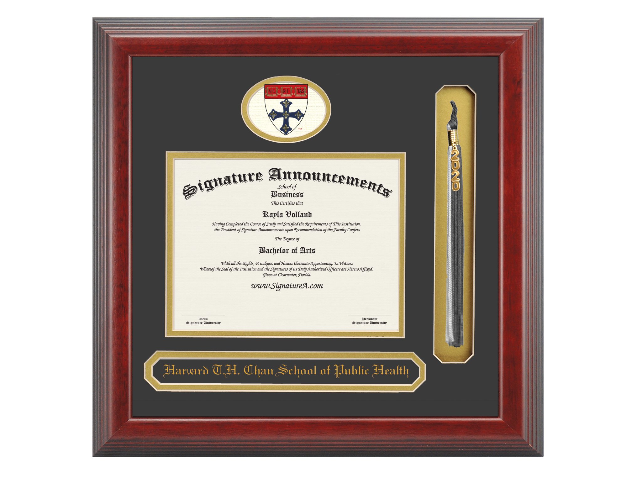 Harvard University Diploma Harvard Graduate