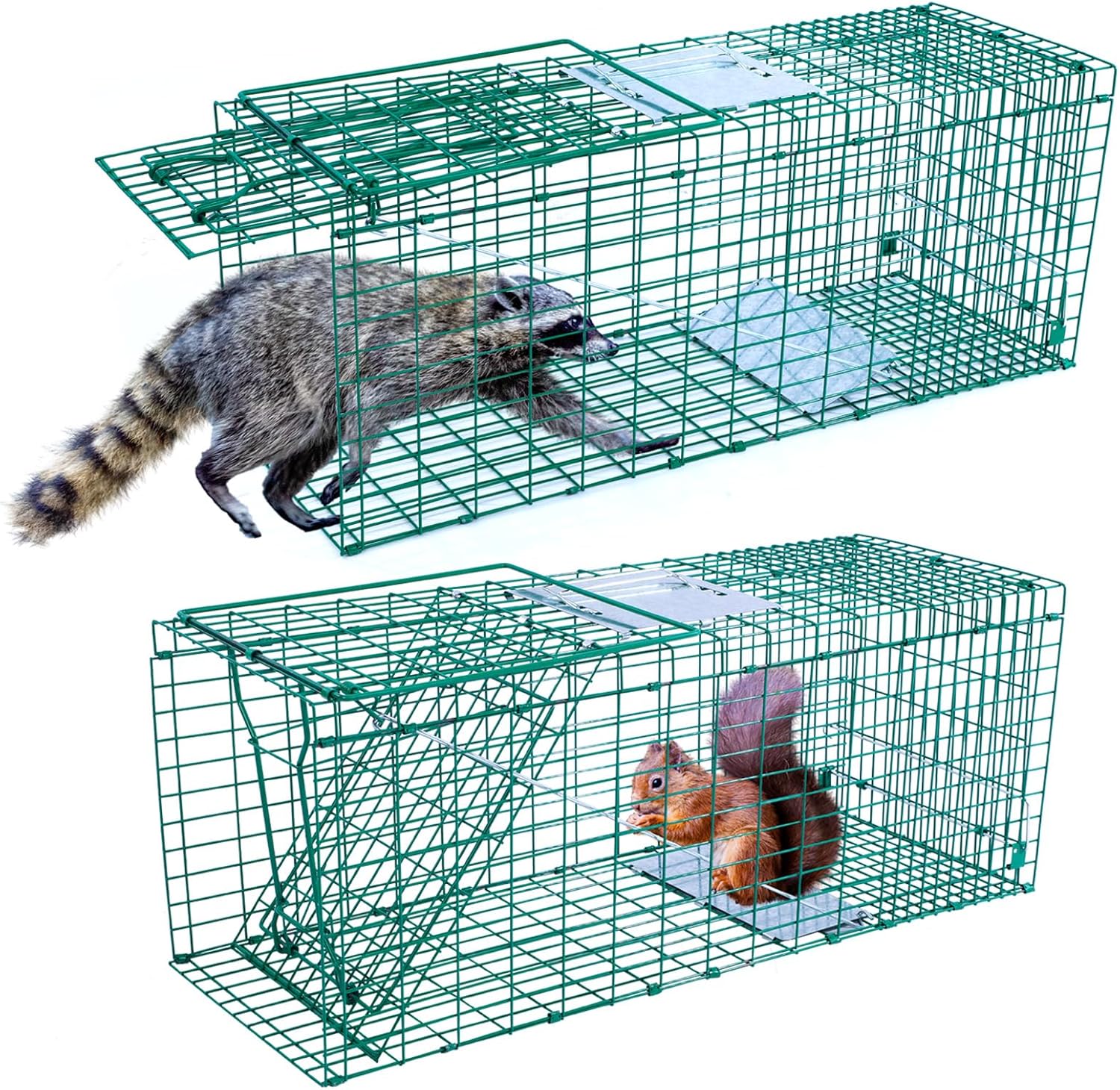 Amazon.com : Kittmip 2 Pcs Large Live Animal Trap Raccoon Trap Humane Heavy Duty Safe Cage Trap ...