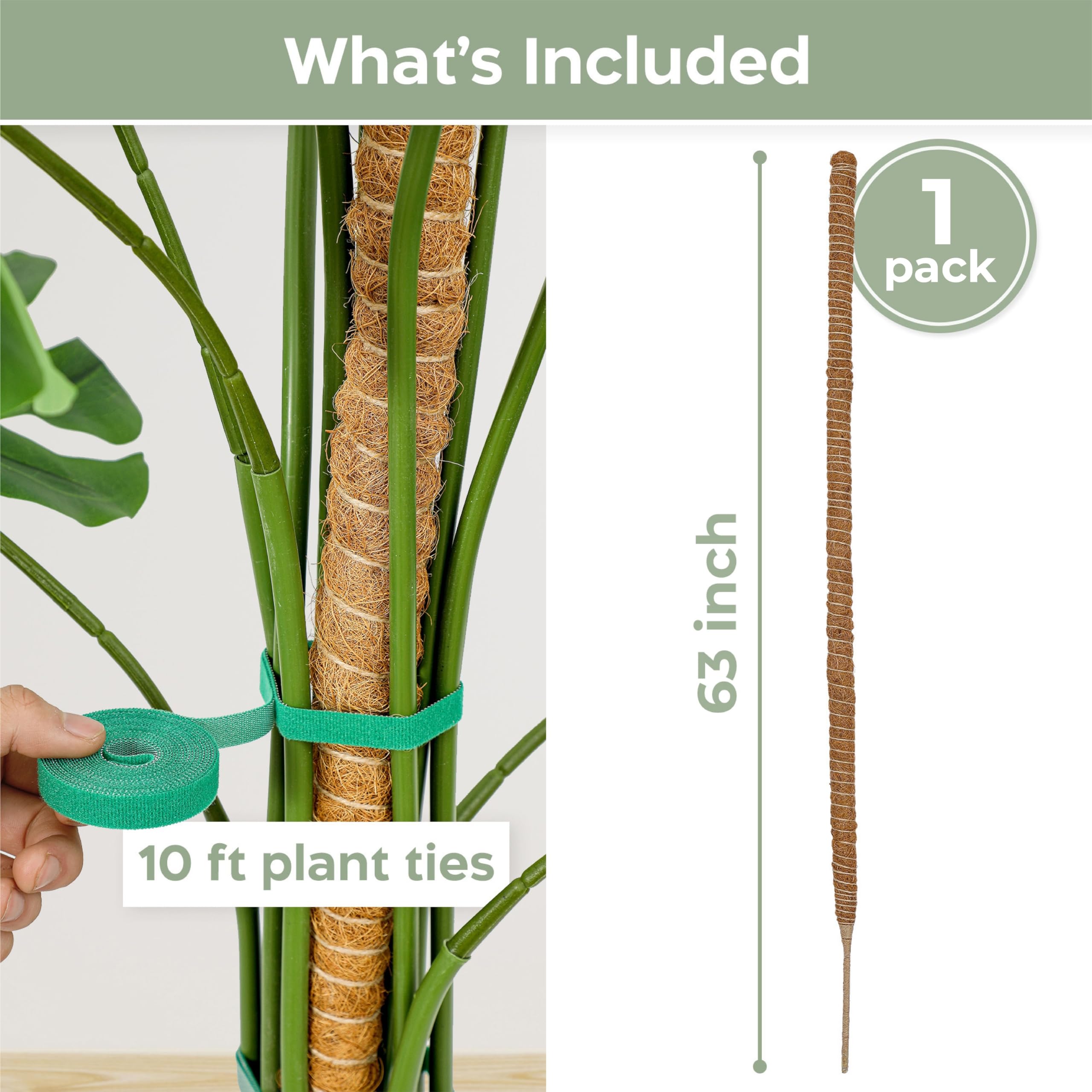 Snapklik.com : Moss Pole - 63 Monstera Plant Support - Moss Poles For ...