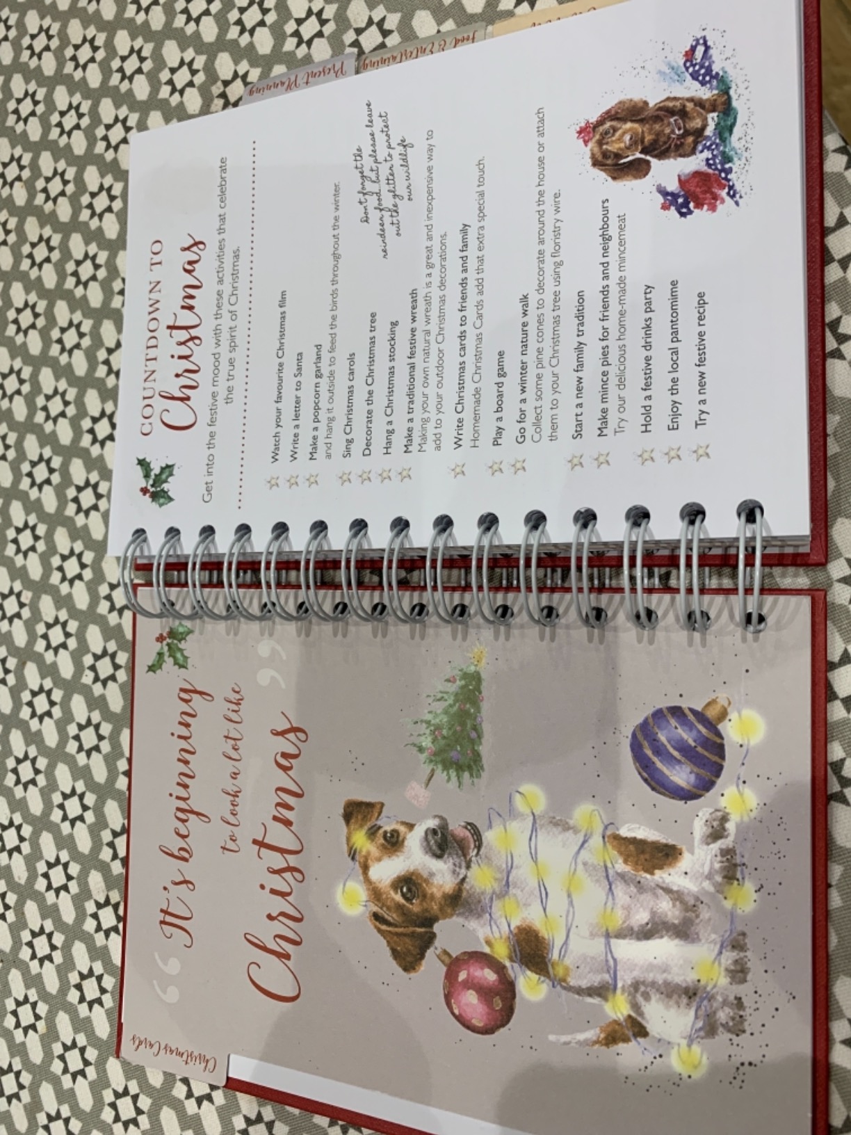 Wrendale Designs by Hannah Dale - Rockin’ Robin - Christmas Planner ...