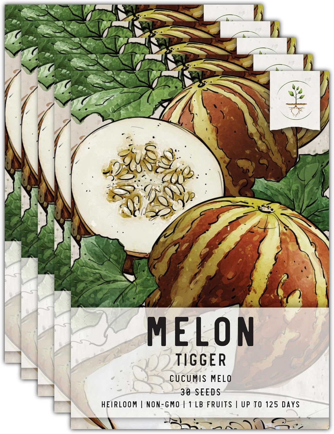 Amazon.com : Seed Needs, Tigger Melon Seeds - 20 Heirloom Seeds for ...