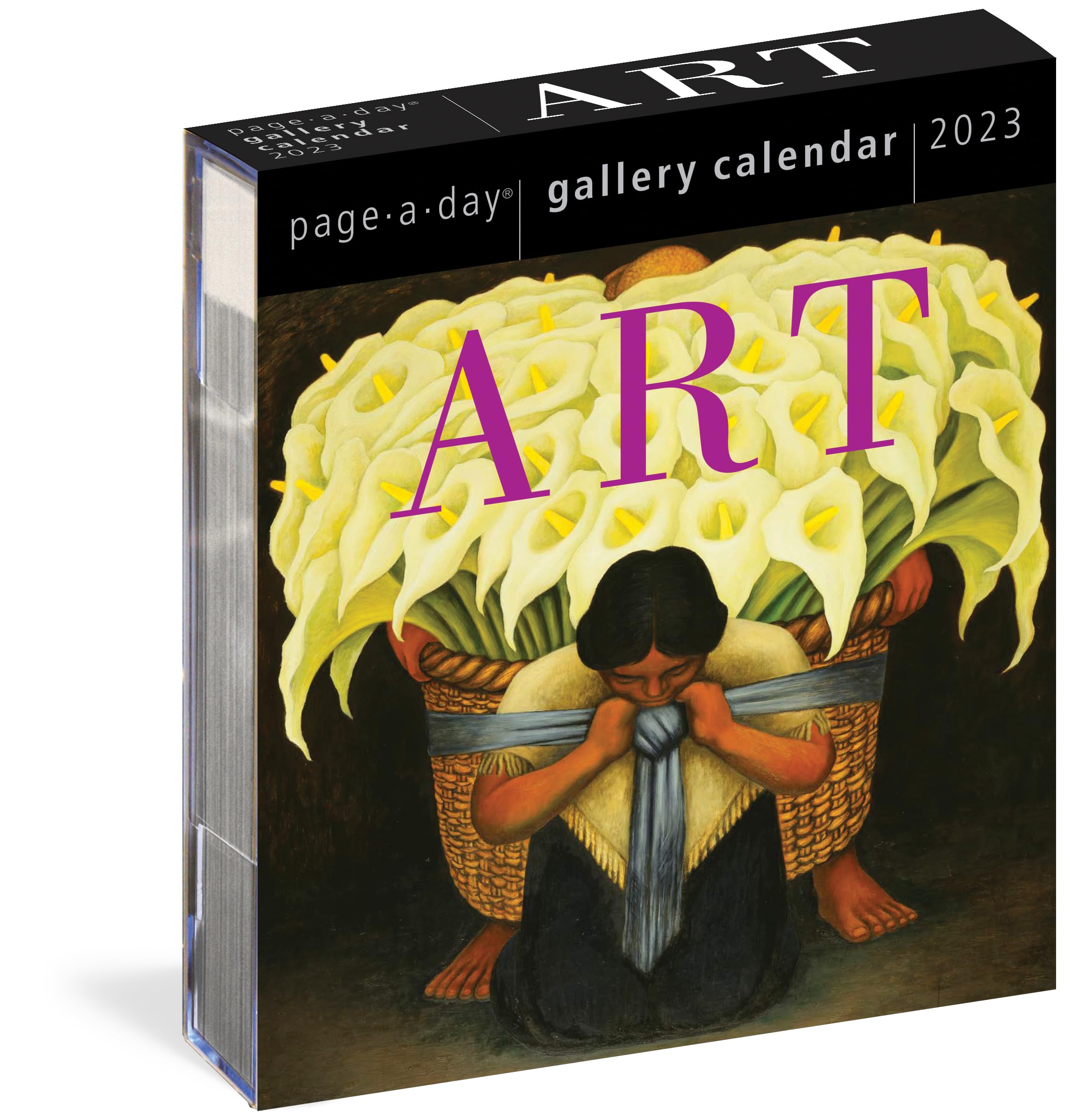 Art Page-A-Day Gallery Calendar 2023: The Next Best Thing to Exploring ...
