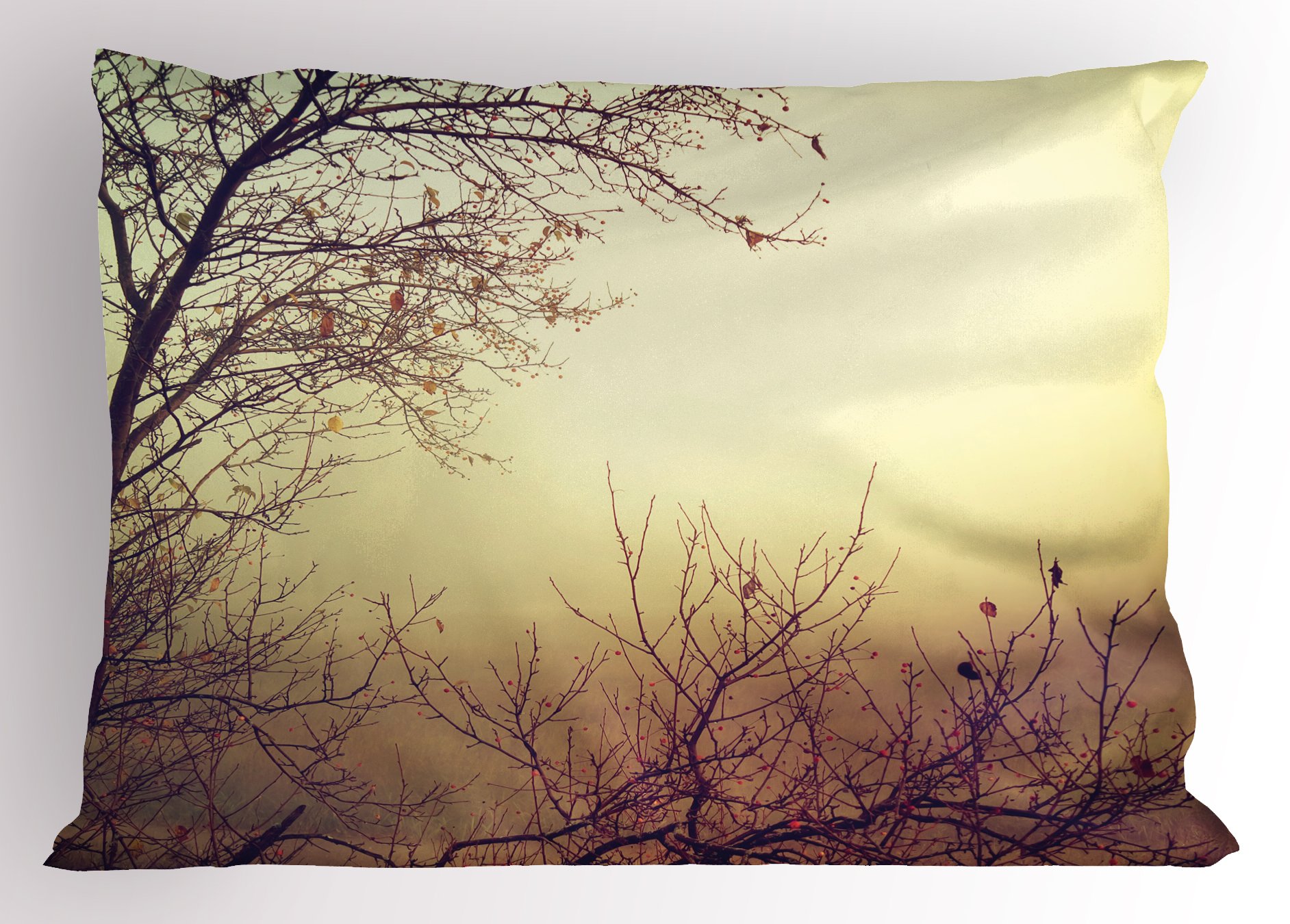Sepia Tone Tree Background