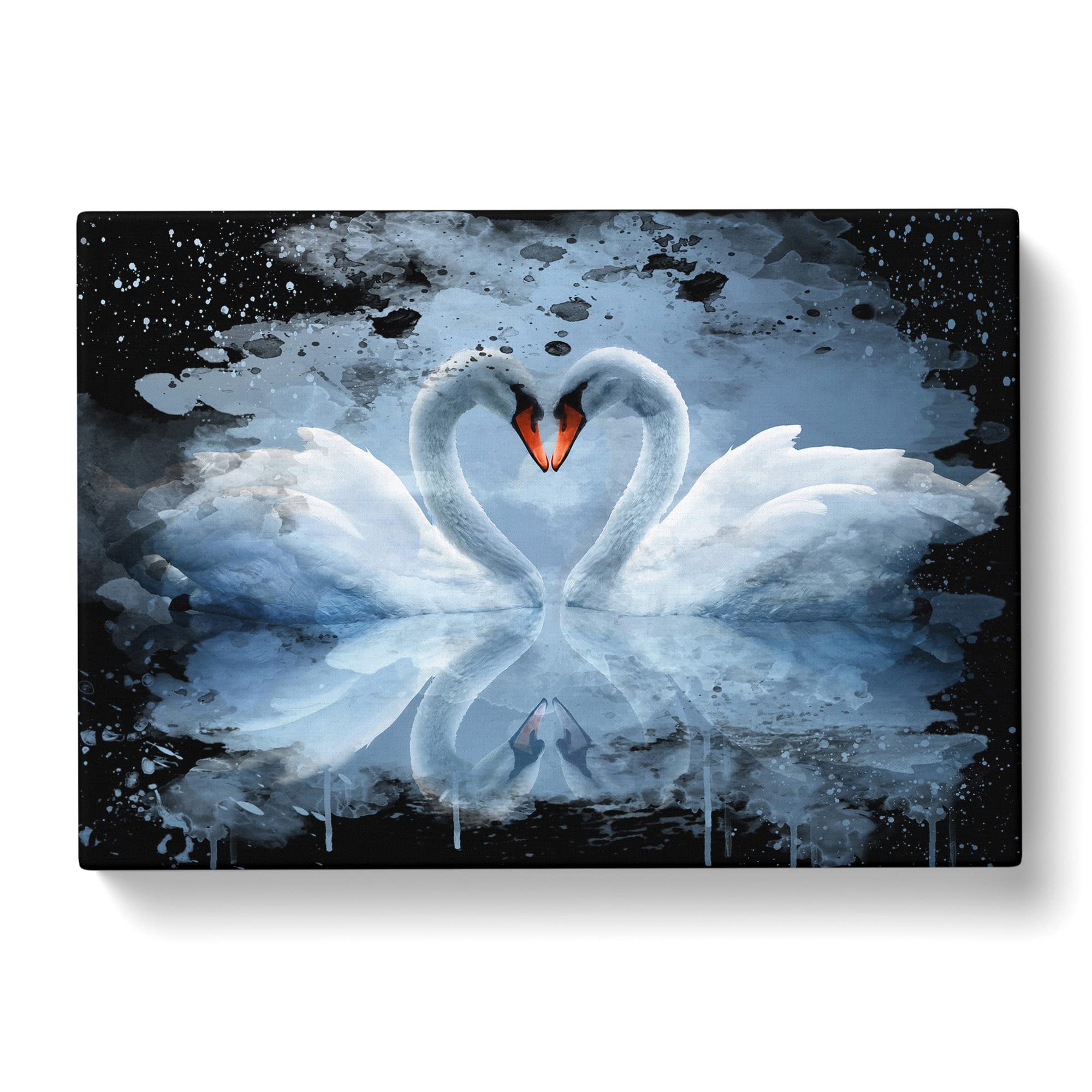 Two Swans Making A Heart Drawing Enchanting Display: Two Swans Forming