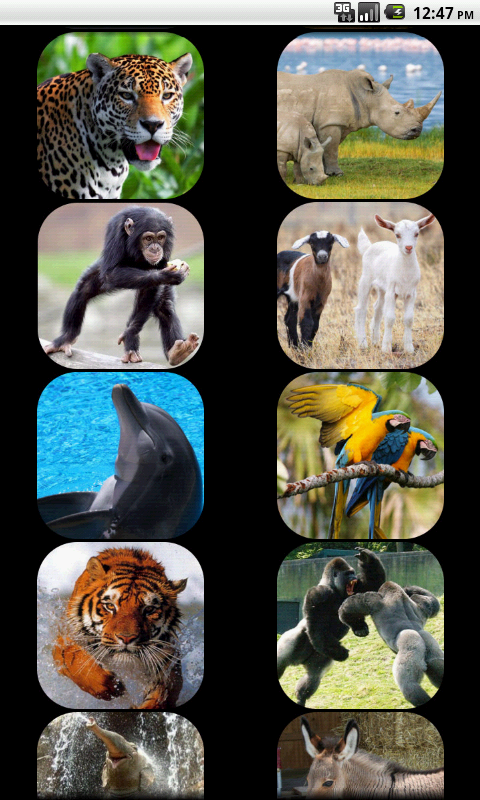 Zoo Animal Sounds - App on the Amazon Appstore
