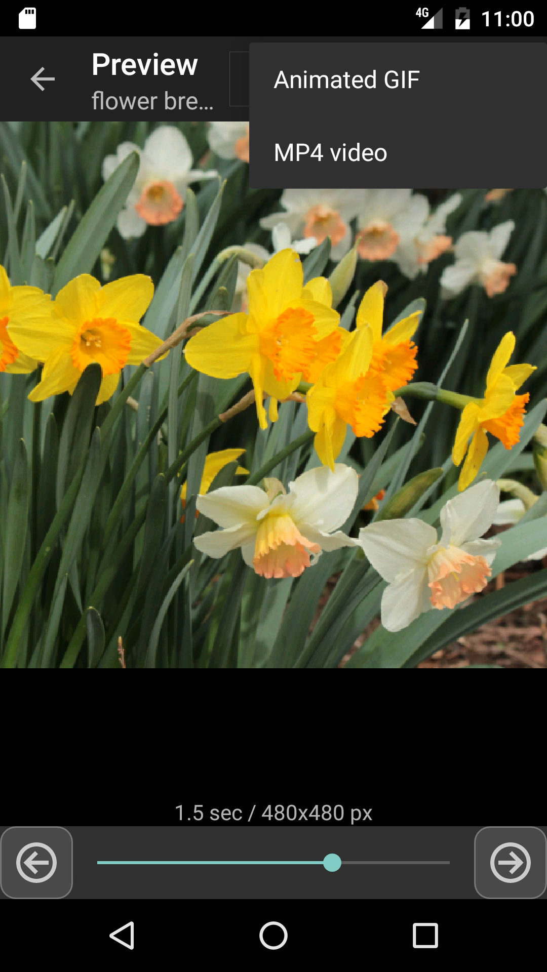 Hyperion Photo Animator - App on Amazon Appstore