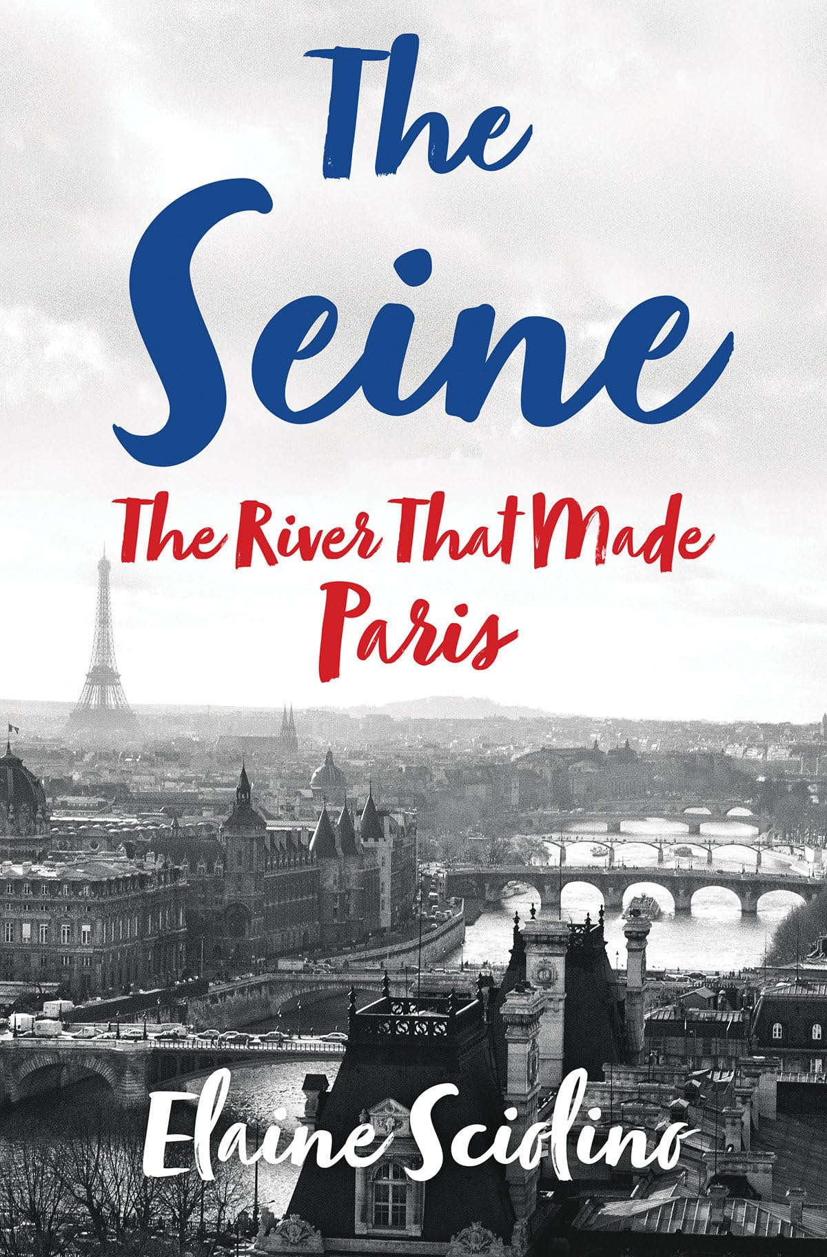 The Seine: The River that Made Paris: Sciolino, Elaine: 9780393609356 ...