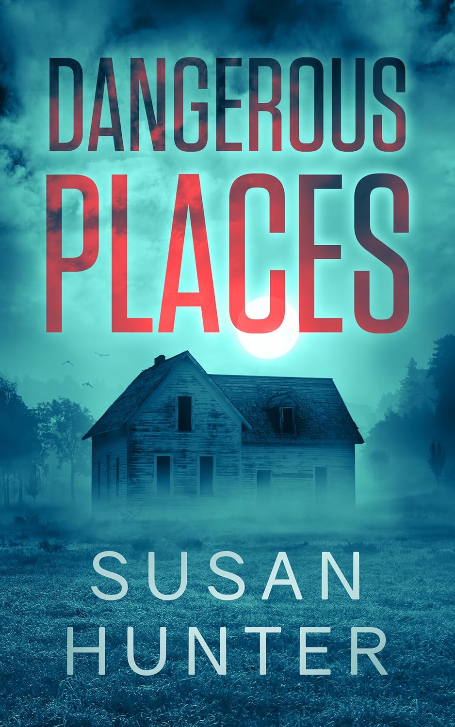 Dangerous Places (Leah Nash Mysteries, 3): Hunter, Susan: 9781648754555 ...
