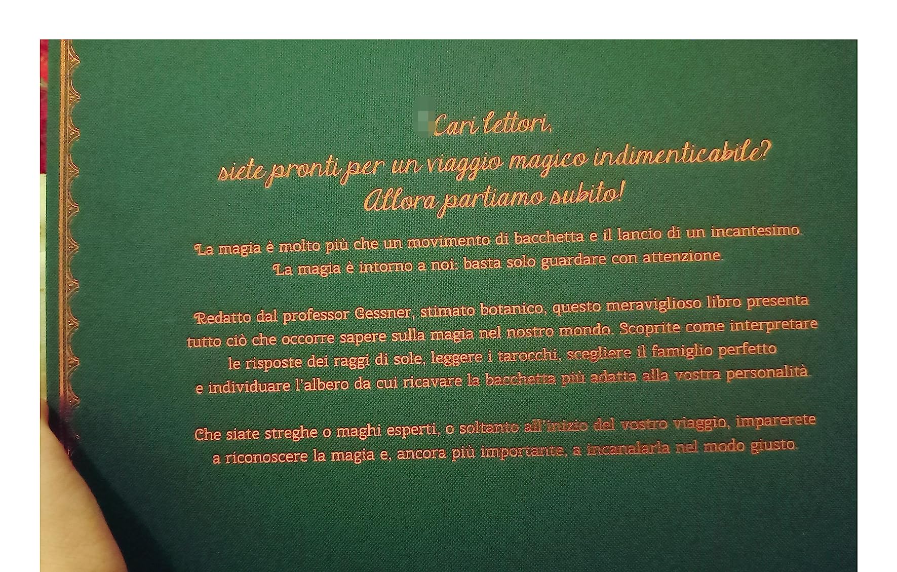 Enciclopedia della magia. Ediz. a colori : David, Poppy, Roux, Jessica ...